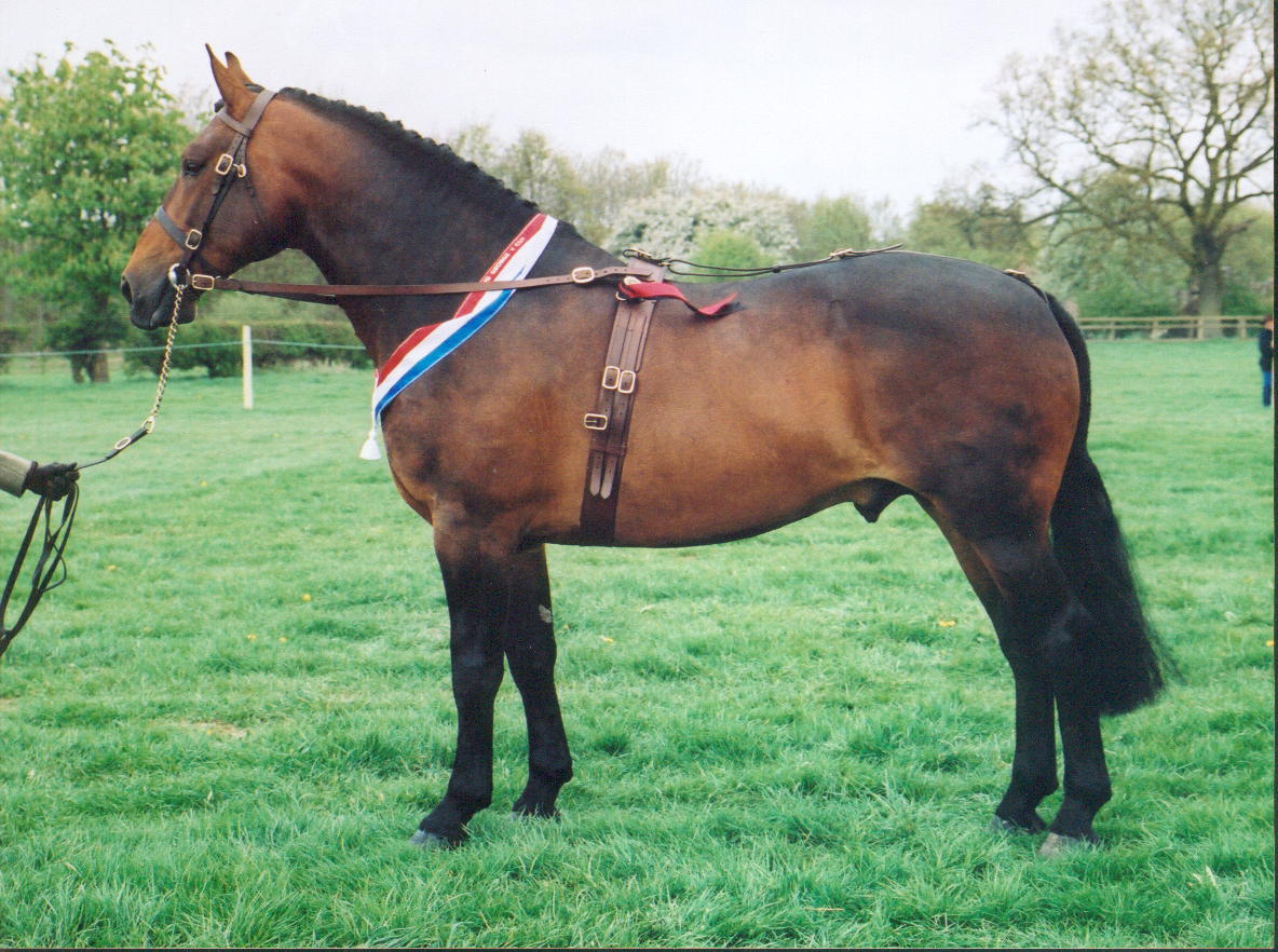 HBLB | Breed Societies